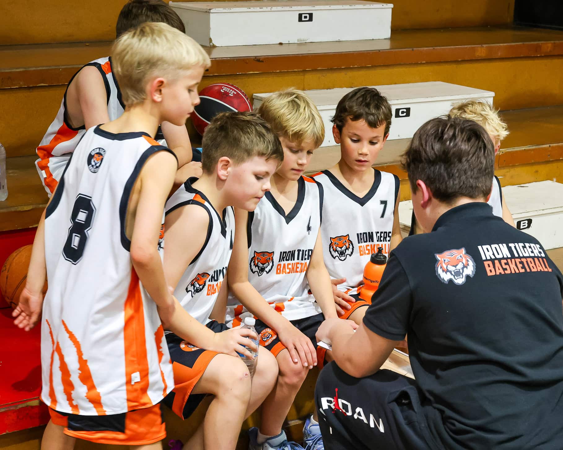 Coaching Pathway Traineeship | Iron Tigers Basketball